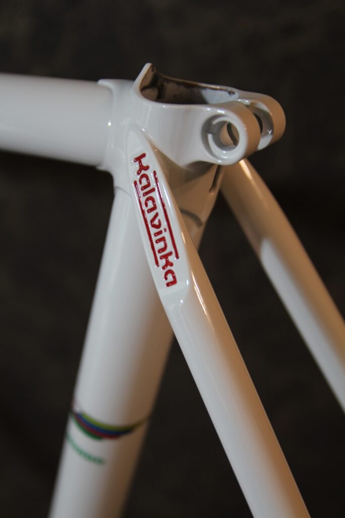 Mr. Alex’s Kalavinka "super exhibition"‼ It is really amazing.😎