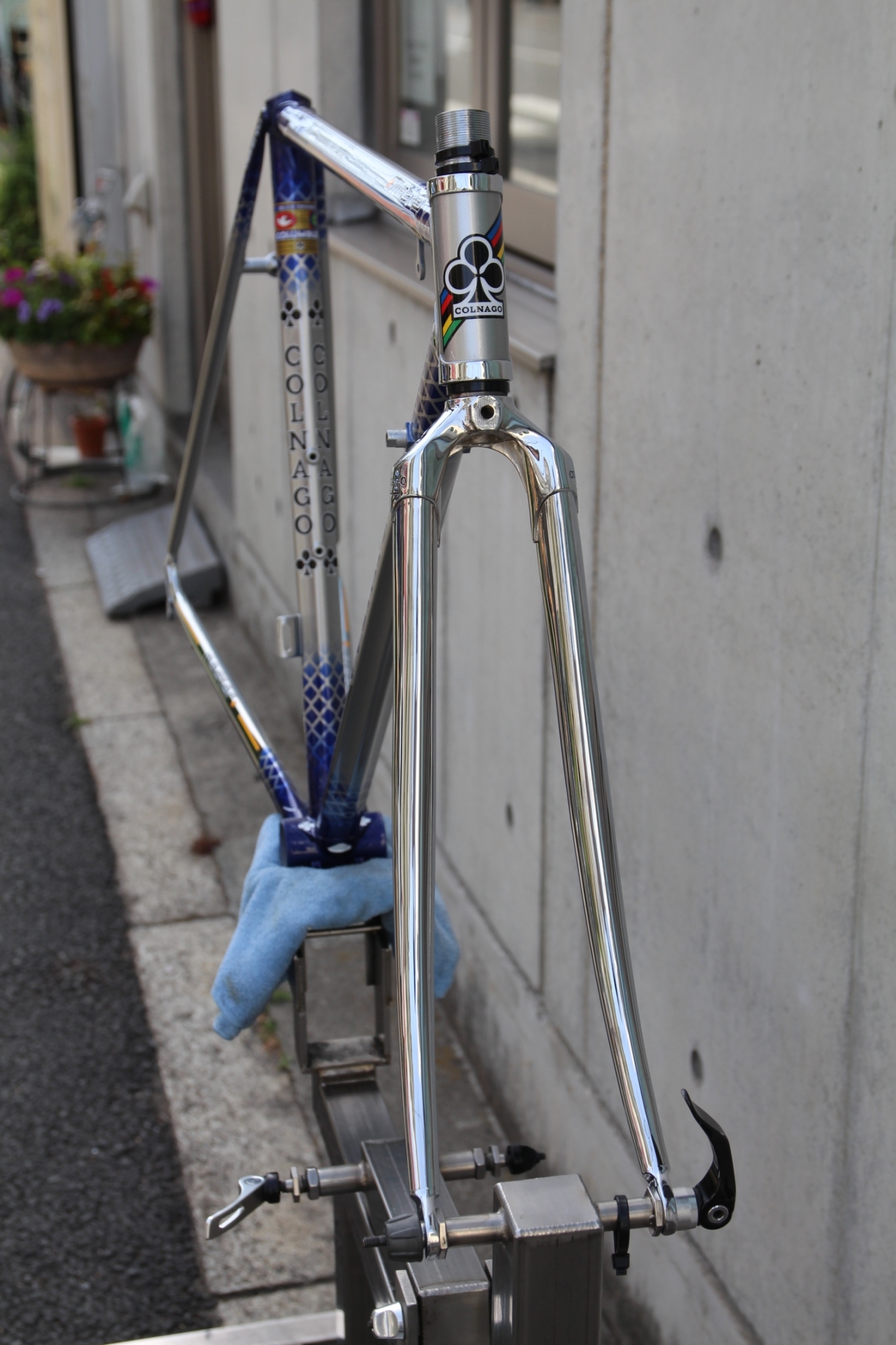 Colnago Master Piu Team Roland ☘☘☘💨 - CorsaCorsa | コルサ・コルサ